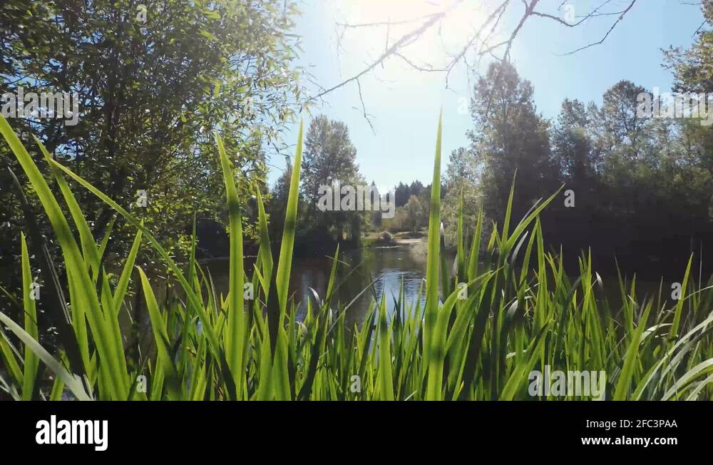 Community park setting Stock Videos & Footage - HD and 4K Video Clips ...