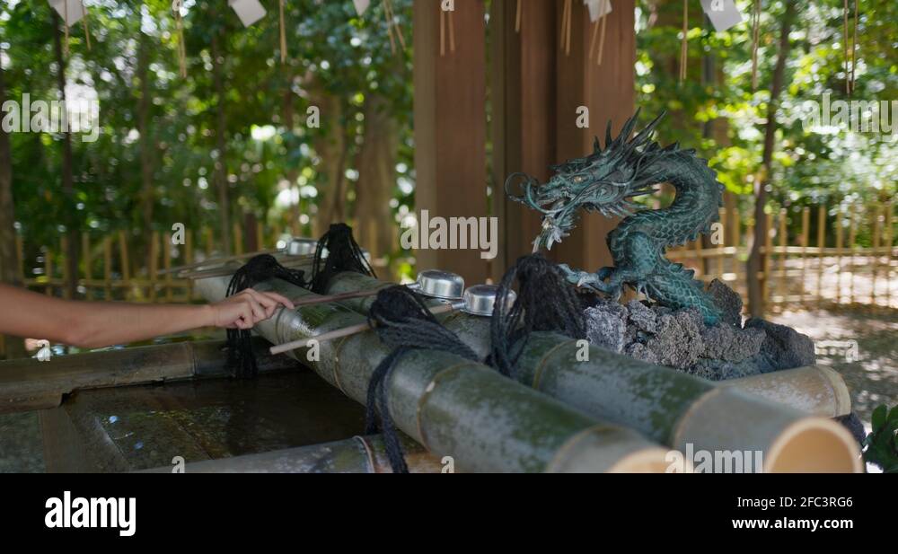 Temple body part Stock Videos & Footage - HD and 4K Video Clips - Alamy