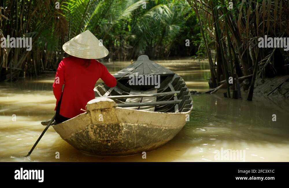 Vietnamese female in traditional dress rowing Sampan Vietnam Stock ...