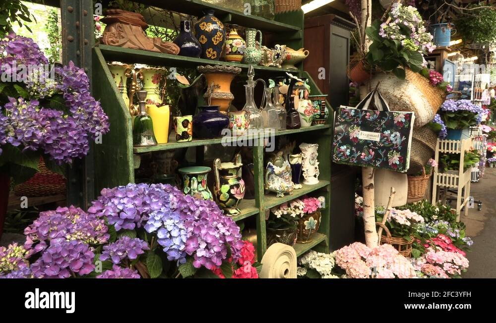 Paris flower market ile de la cite Stock Videos & Footage - HD and 4K ...