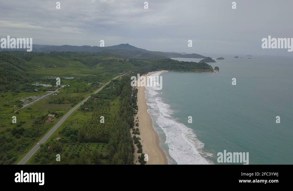 Cornwall rainforest Stock Videos & Footage - HD and 4K Video Clips - Alamy