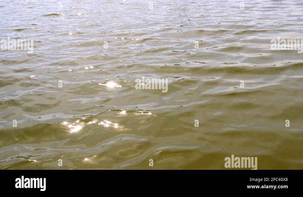 River texture Stock Videos & Footage - HD and 4K Video Clips - Alamy
