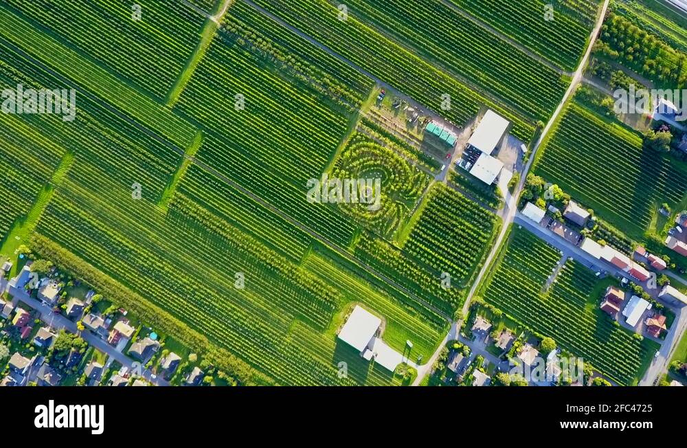 Hedge maze labyrinth germany Stock Videos & Footage - HD and 4K Video ...