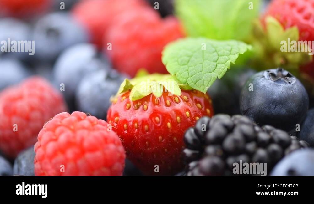 Leaves with berries border Stock Videos & Footage - HD and 4K Video ...