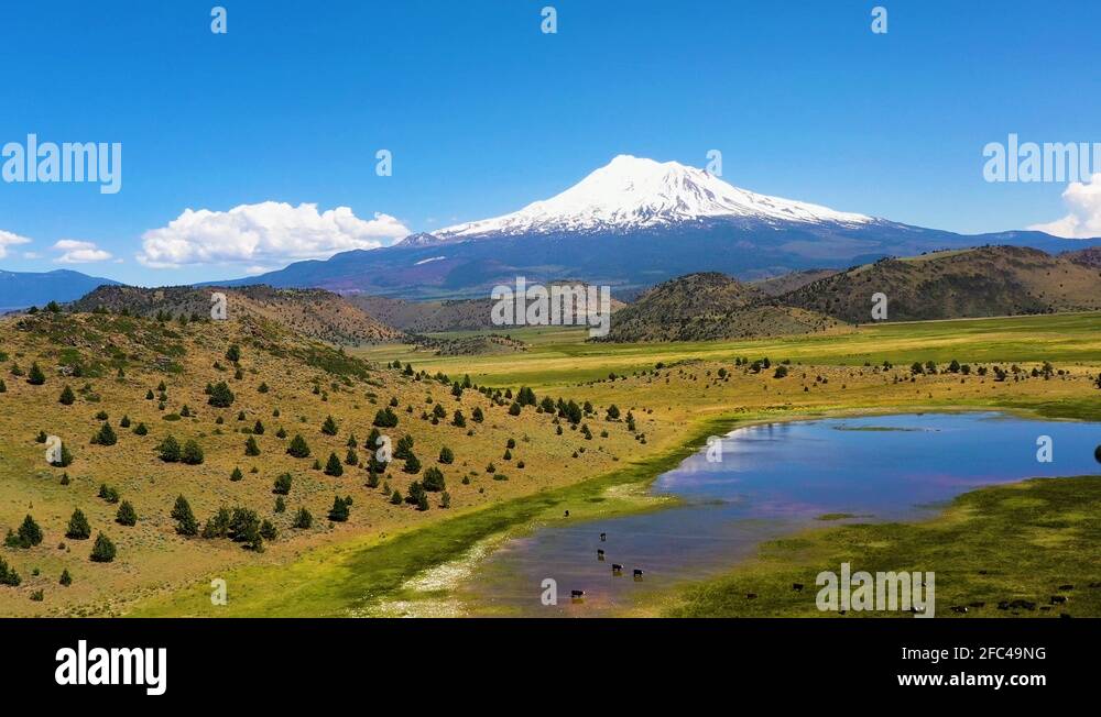 Mount shasta panorama Stock Videos & Footage - HD and 4K Video Clips ...