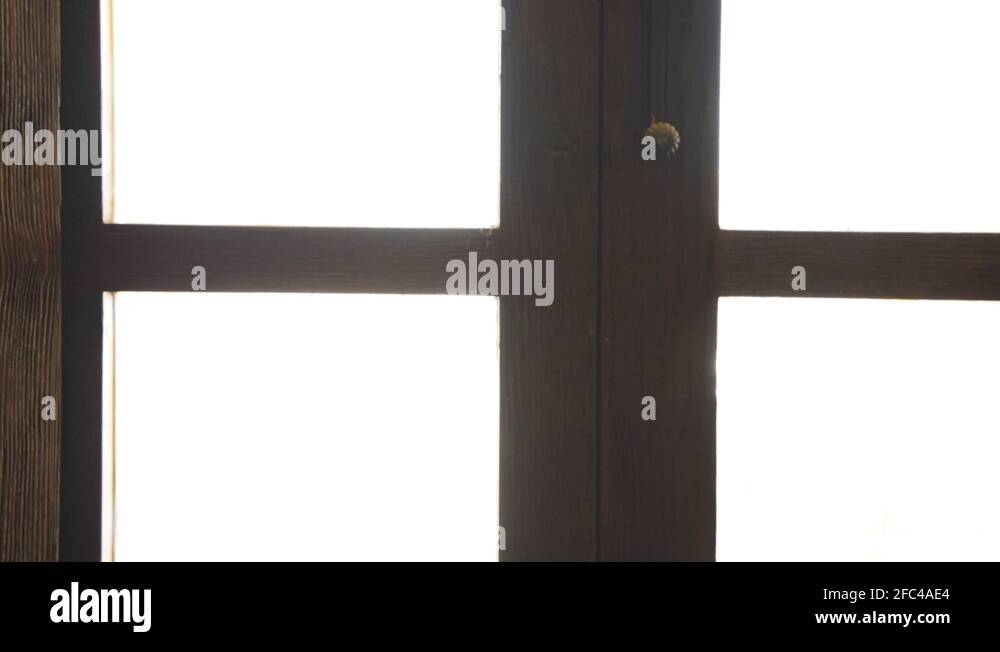 Old spanish window Stock Videos & Footage - HD and 4K Video Clips - Alamy