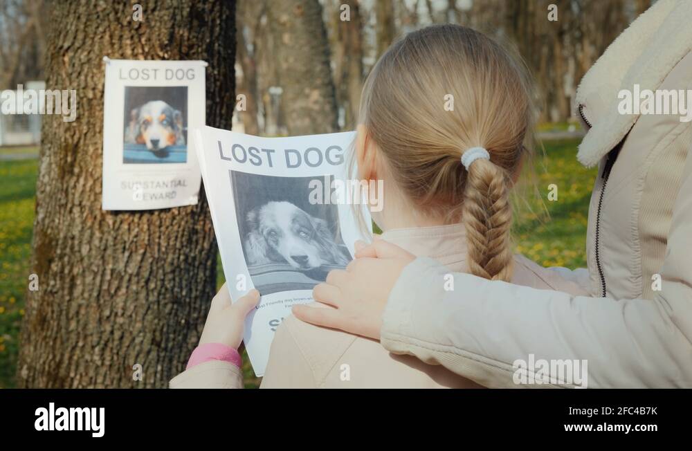 Lost and missing family Stock Videos & Footage - HD and 4K Video Clips ...