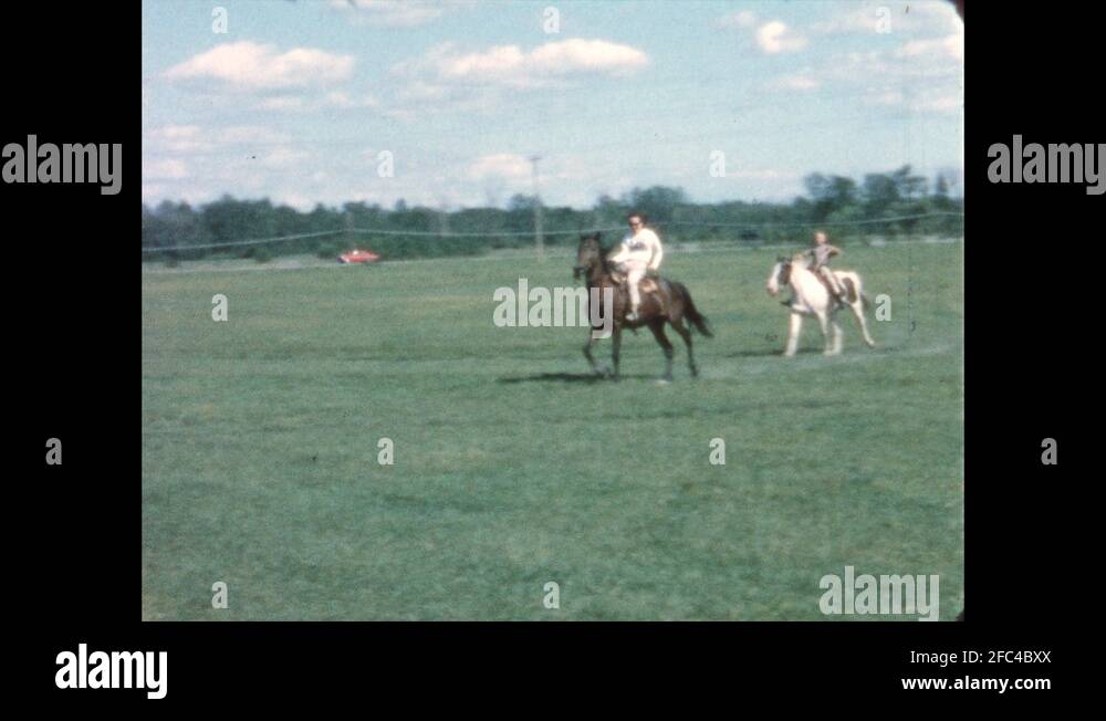 Horse at gate Stock Videos & Footage - HD and 4K Video Clips - Alamy