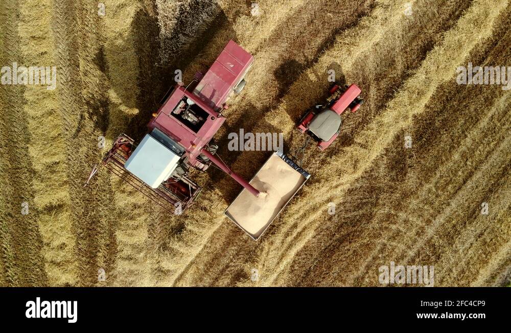 Combine harvester unloading wheat trailer Stock Videos & Footage - HD ...