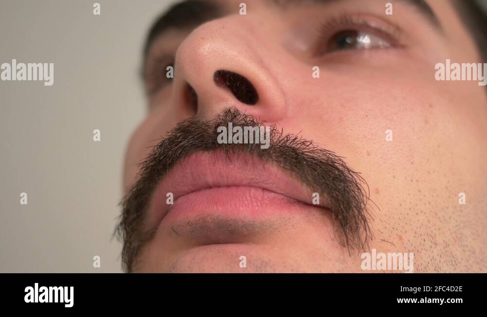 Hair moustache head shot Stock Videos & Footage - HD and 4K Video Clips ...