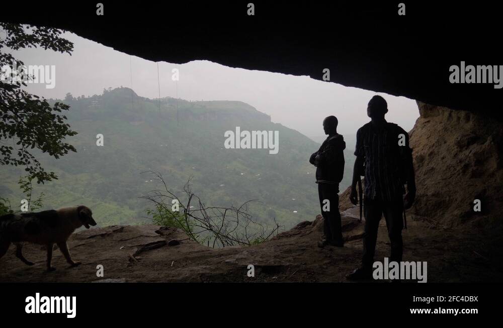 Cave dog Stock Videos & Footage - HD and 4K Video Clips - Alamy