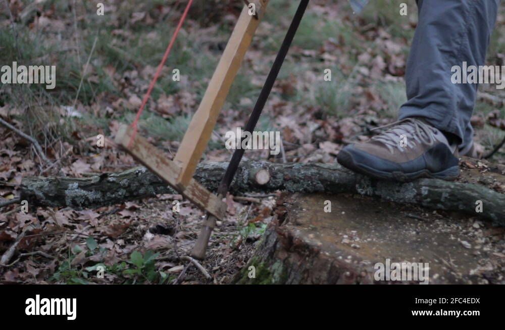 Industrial logging Stock Videos & Footage - HD and 4K Video Clips - Alamy