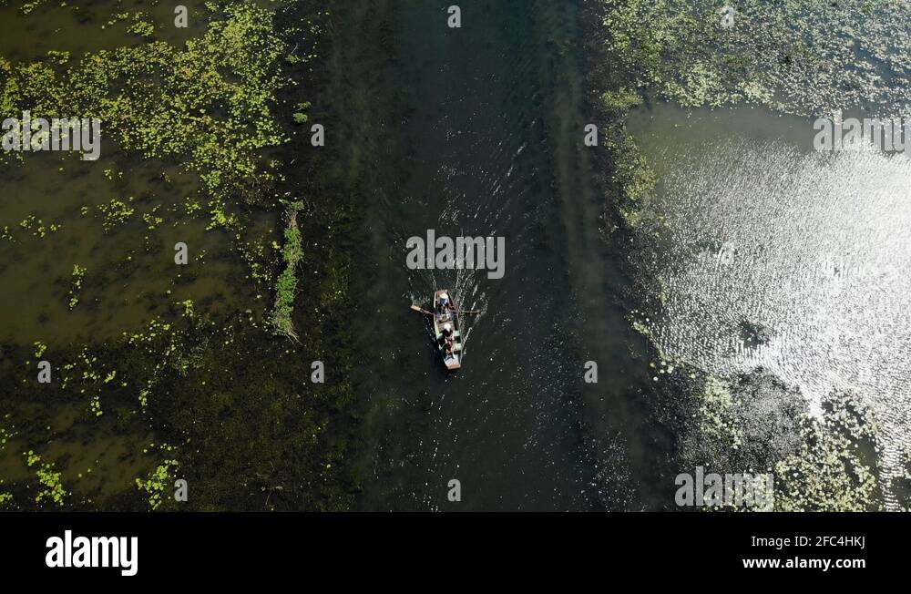 Rowing vertical Stock Videos & Footage - HD and 4K Video Clips - Alamy