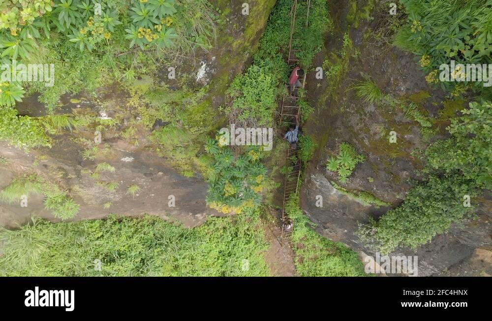 Risky ladder Stock Videos & Footage - HD and 4K Video Clips - Alamy
