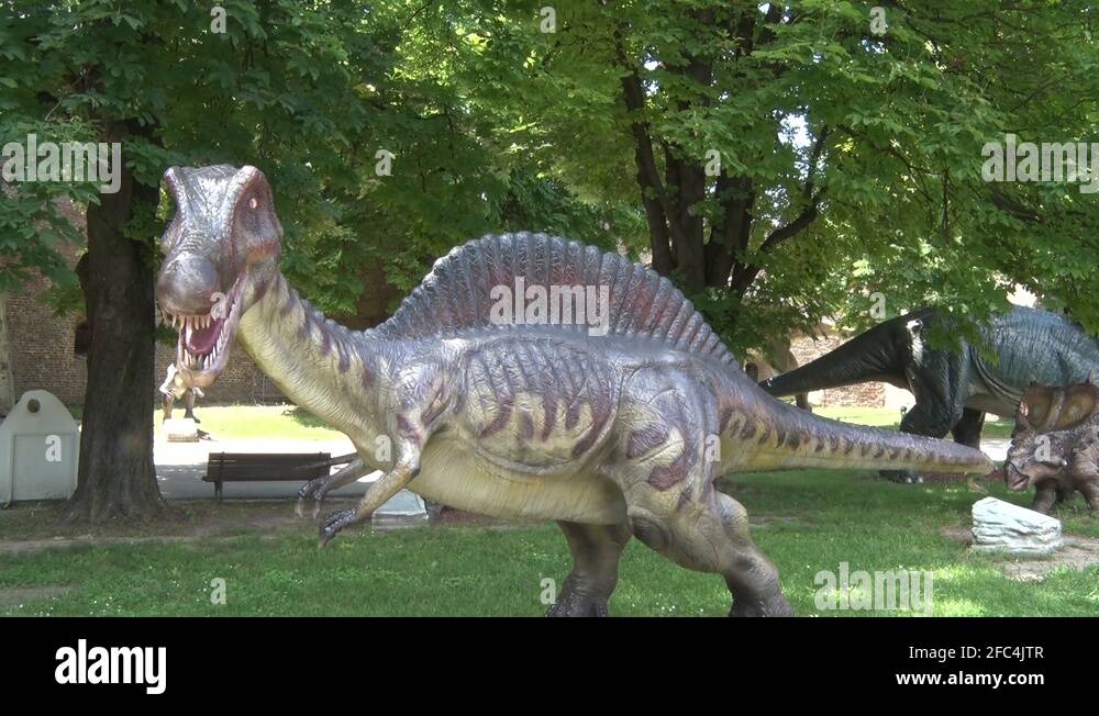 Realistic spinosaurus dinosaur in dino park Stock Video Footage - Alamy