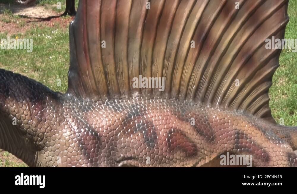 Realistic Dimetrodon dinosaur in dino park core on the back Stock Video ...