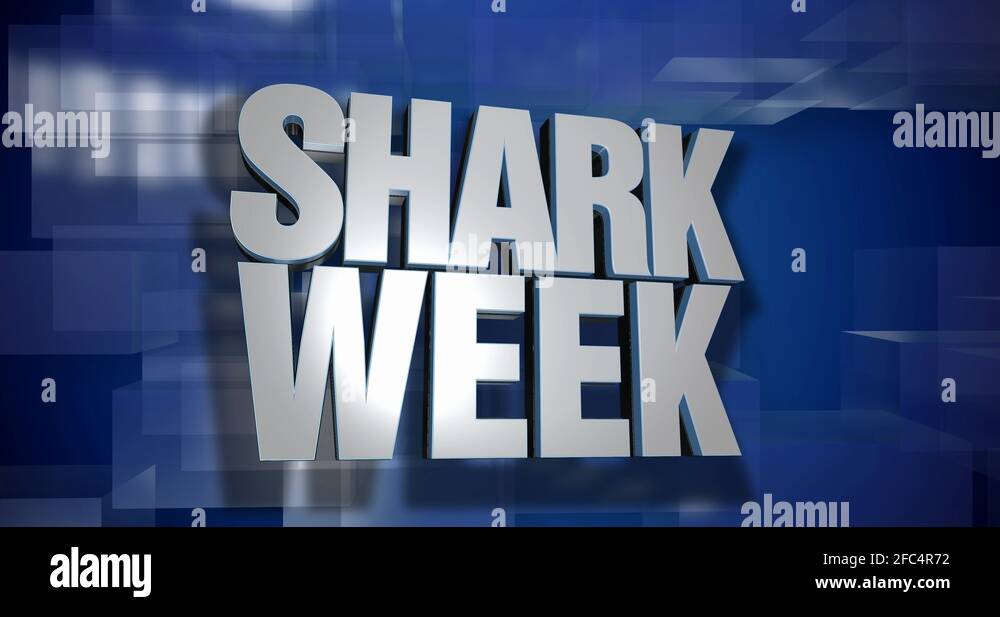 Shark week Stock Videos & Footage - HD and 4K Video Clips - Alamy