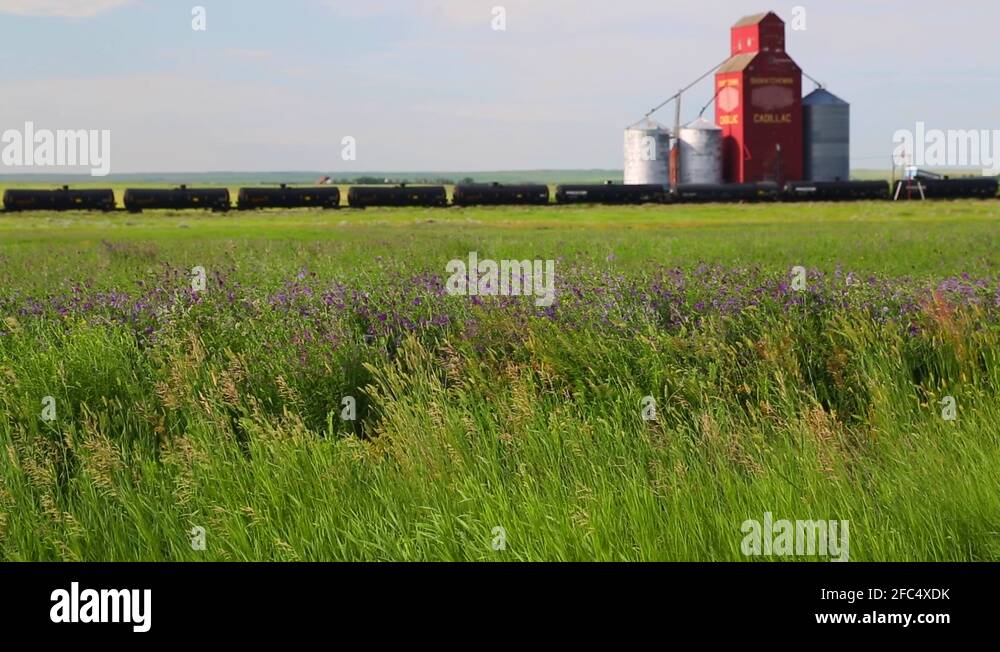 Canada canadian prairies saskatchewan Stock Videos & Footage - HD and ...