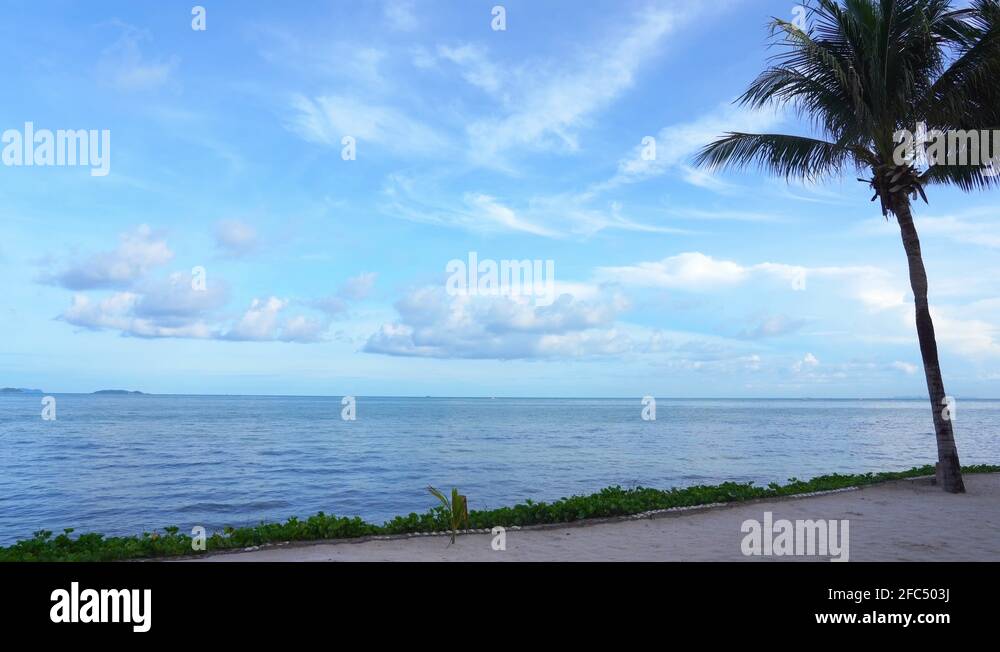Edge of a resort's sandy beach overlooking the mild surf rolling in ...