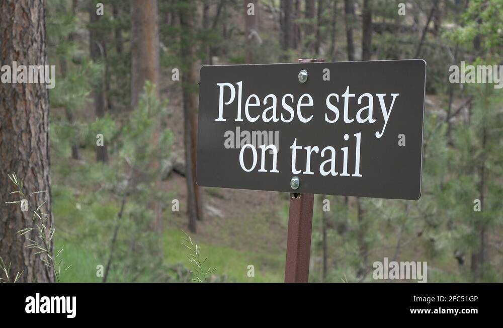 Stay regulations Stock Videos & Footage - HD and 4K Video Clips - Alamy