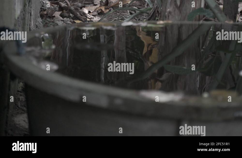 Dirty container Stock Videos & Footage - HD and 4K Video Clips - Alamy