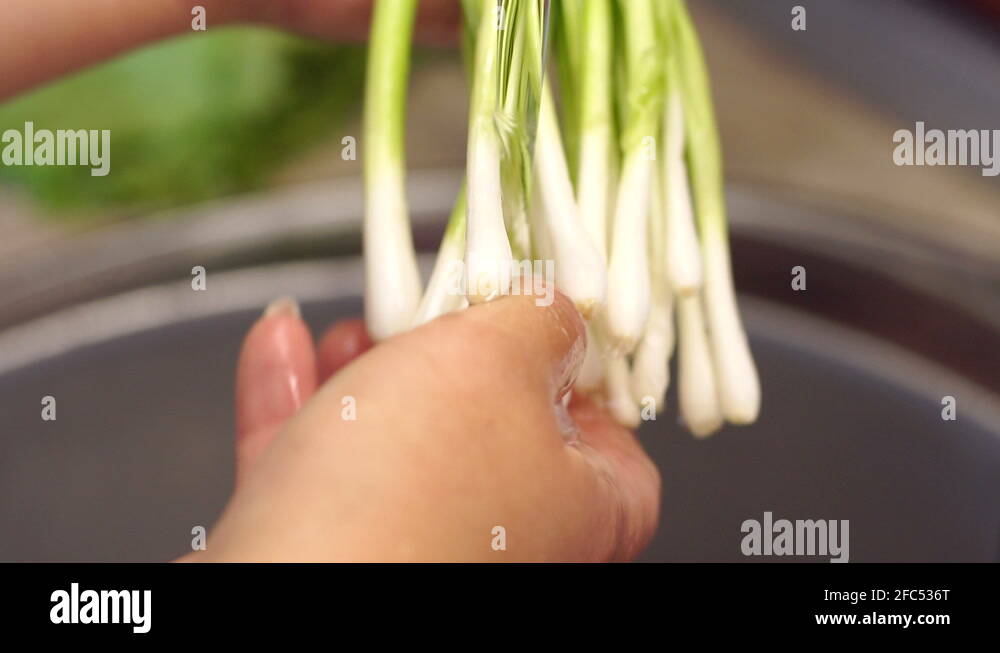 Close-up of women's hands washing fresh green onions in the kitchen ...