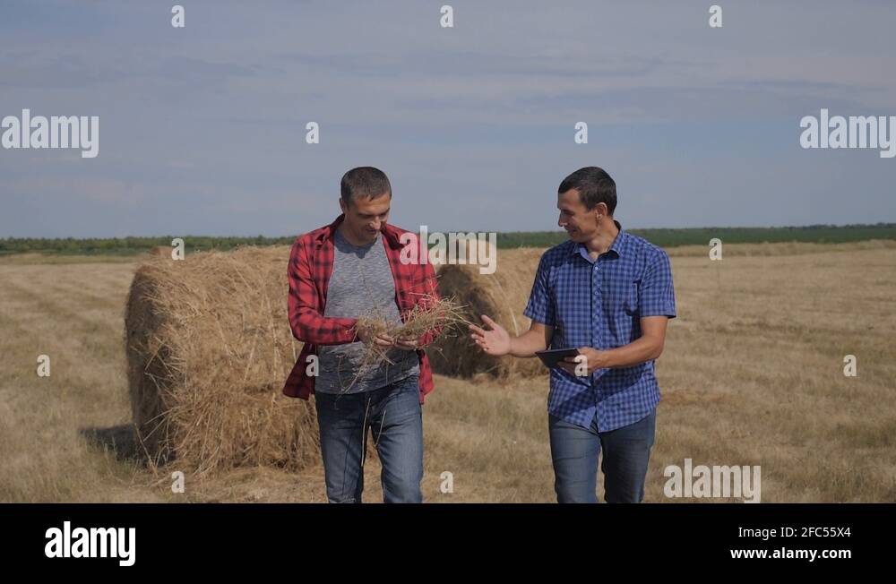 teamwork agriculture smart farming concept. two men workers farmers ...