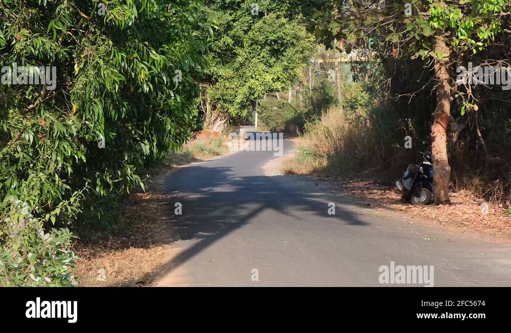 South Goa, India - March, 2019: Indian village road Stock Video Footage ...