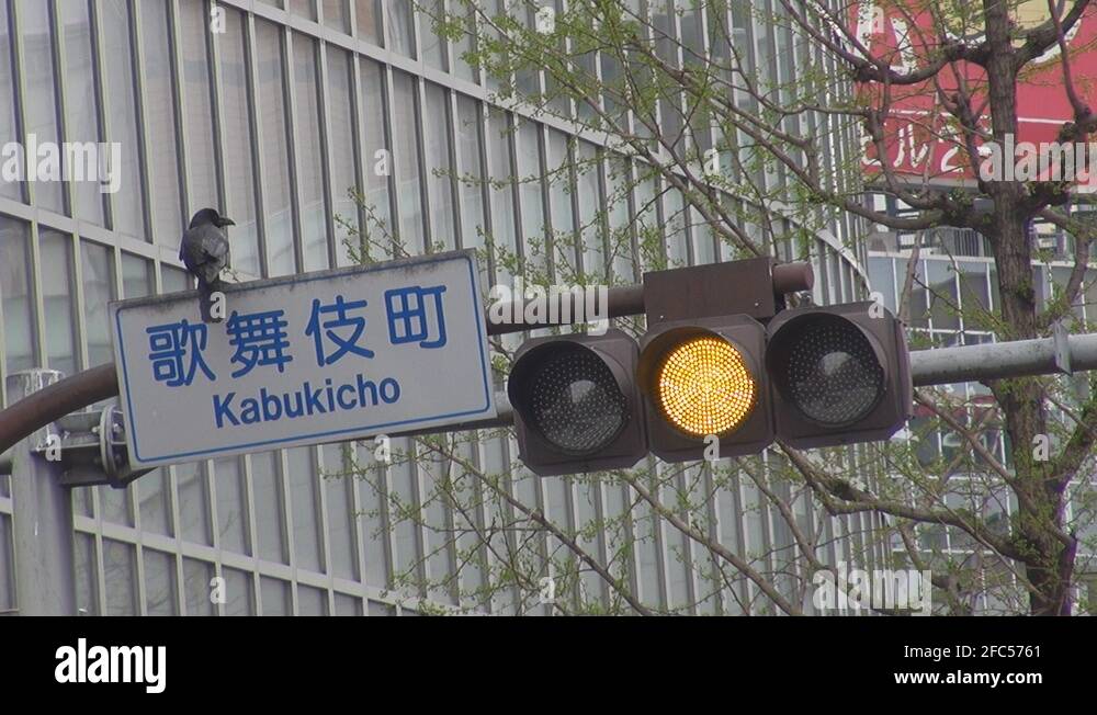 Crow japan street Stock Videos & Footage - HD and 4K Video Clips - Alamy