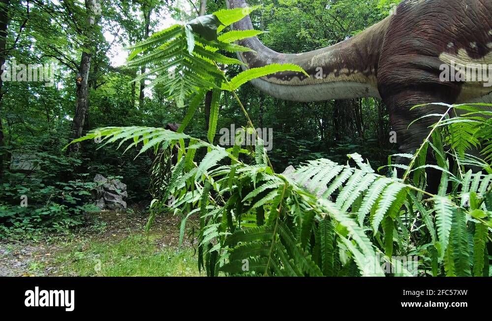 Prehistoric stegosaurus extinct species dinosaur Stock Videos & Footage ... Prehistoric stegosaurus extinct species dinosaur Stock Videos & Footage ...