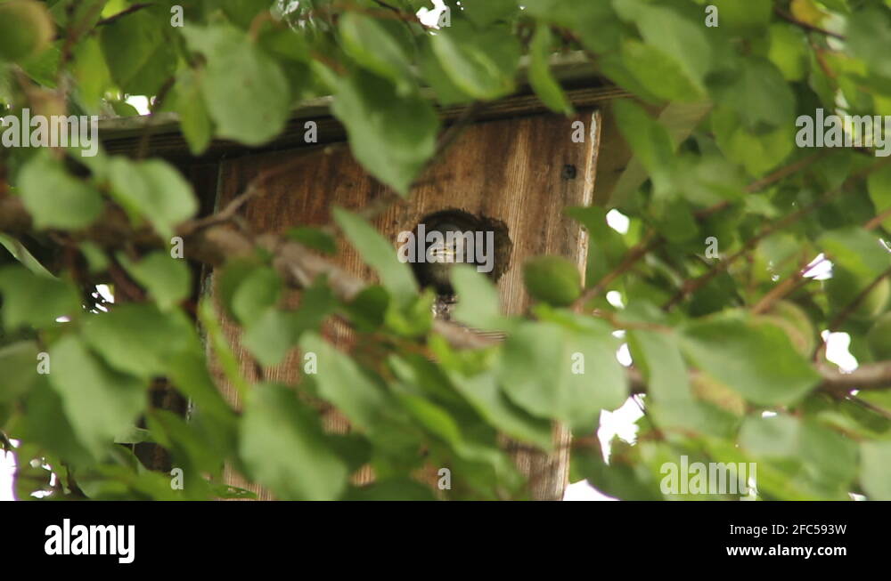 Aperture construction Stock Videos & Footage - HD and 4K Video Clips ...