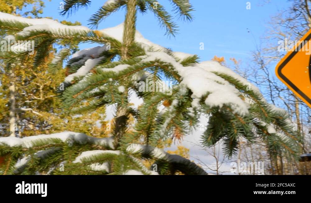 Use caution Stock Videos & Footage - HD and 4K Video Clips - Alamy