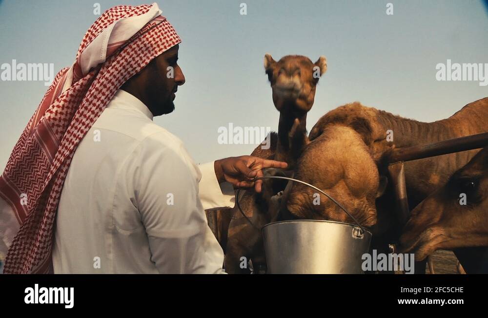 Saudi people eating Stock Videos & Footage - HD and 4K Video Clips - Alamy