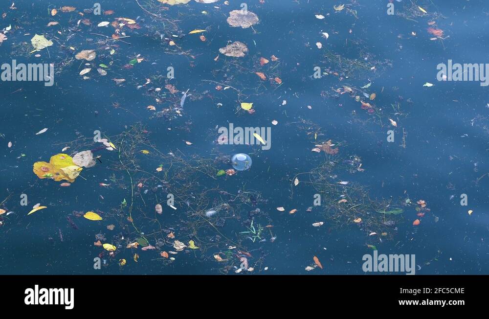 Garbage on the water Stock Videos & Footage - HD and 4K Video Clips - Alamy