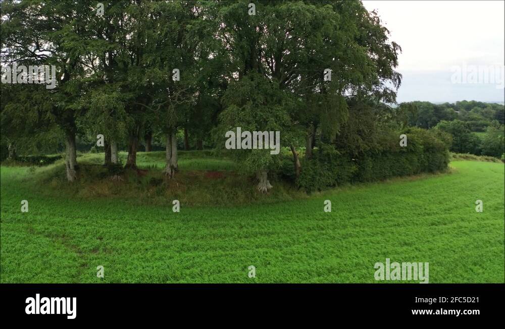 Fort ring fort Stock Videos & Footage - HD and 4K Video Clips - Alamy