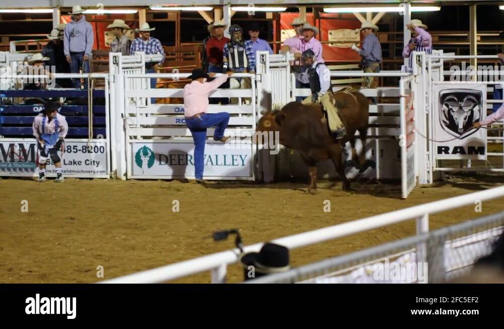 Bull ride rodeo Stock Videos & Footage - HD and 4K Video Clips - Alamy