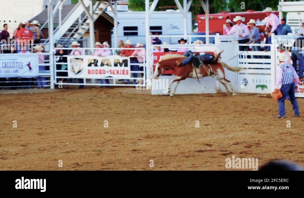 Wild Bronc Ride at Rodeo Stock Video Footage - Alamy