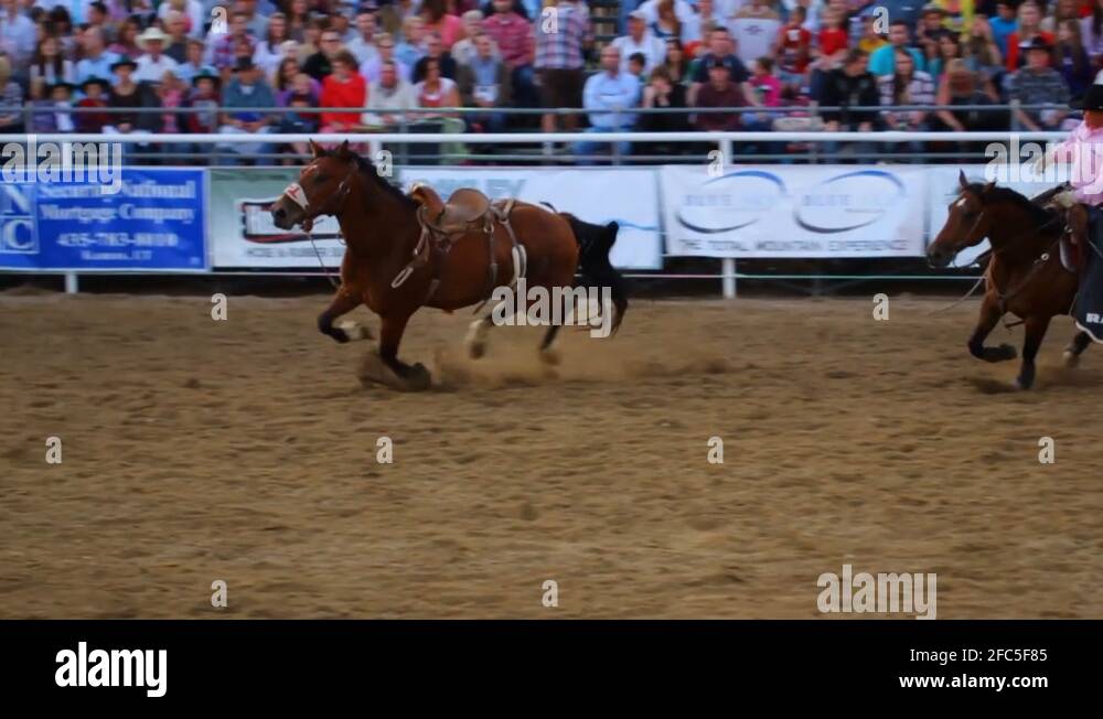 Cowboy chasing wild horse Stock Videos & Footage - HD and 4K Video ...