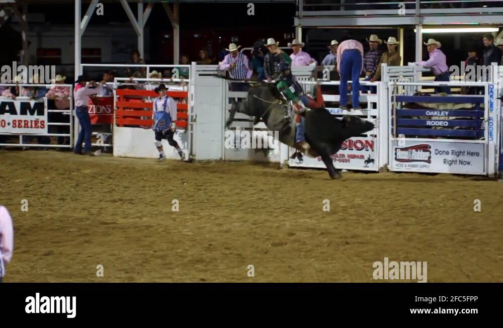 Bucking bull ride Stock Videos & Footage - HD and 4K Video Clips - Alamy