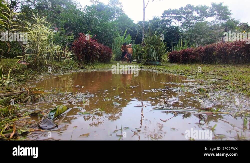 indigenous child throwing himself in a puddle of water in ecuador Stock ...