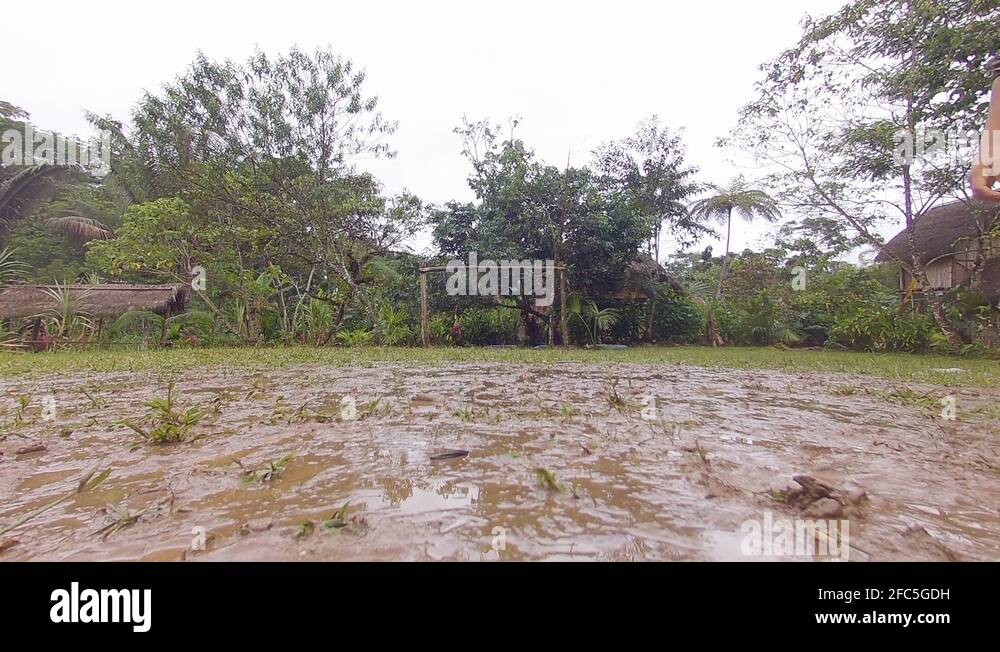 Indigenous village amazon Stock Videos & Footage - HD and 4K Video ...