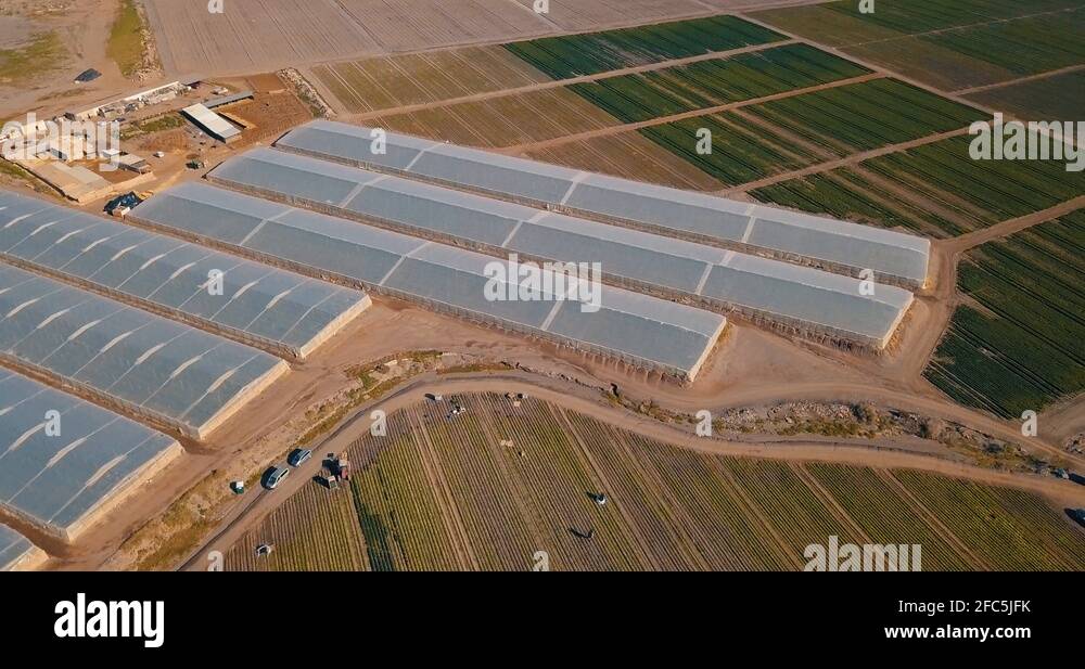 Farm crop circle Stock Videos & Footage - HD and 4K Video Clips - Alamy