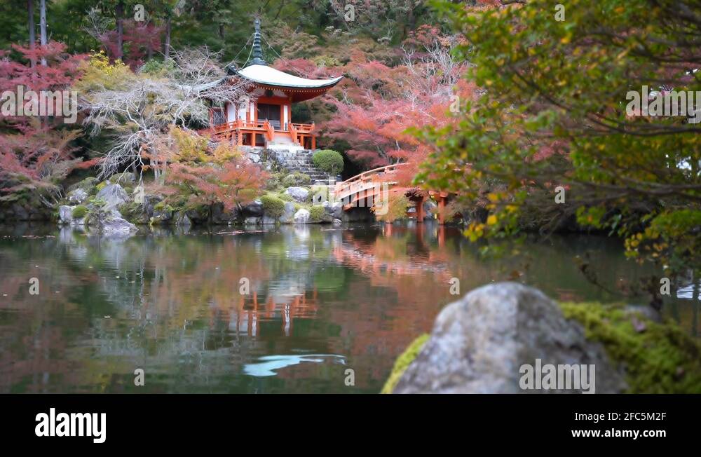 Fairy like garden Stock Videos & Footage - HD and 4K Video Clips - Alamy