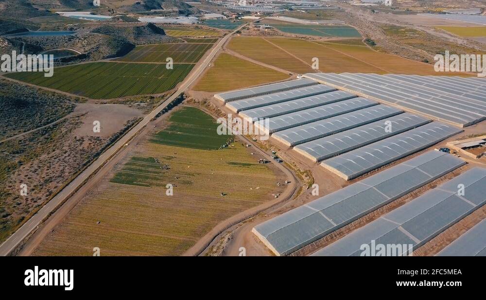 Rich community Stock Videos & Footage - HD and 4K Video Clips - Alamy