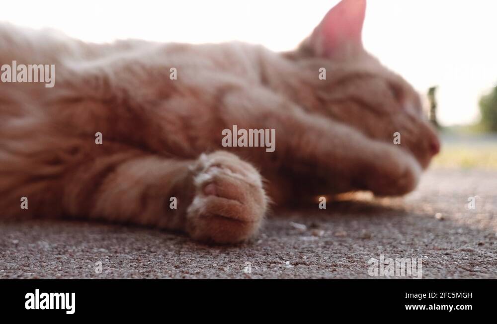 Repositioning Stock Videos & Footage - HD and 4K Video Clips - Alamy Repositioning Stock Videos & Footage - HD and 4K Video Clips - Alamy