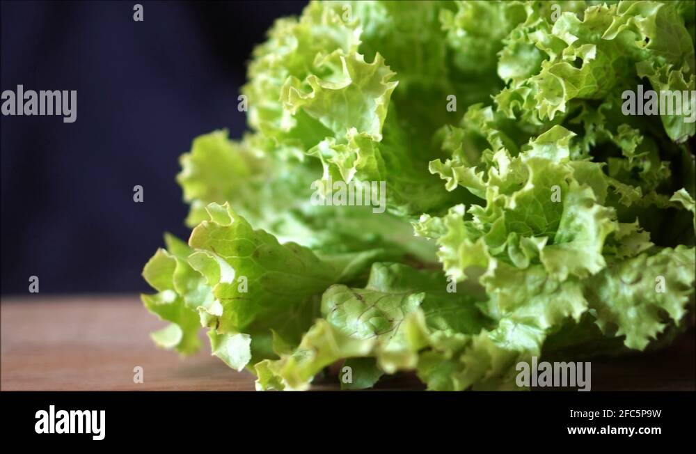 Green background lettuce Stock Videos & Footage - HD and 4K Video Clips ...
