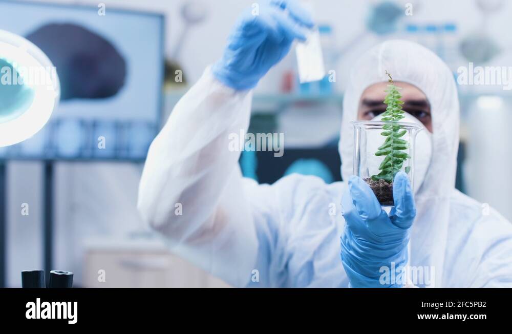 Measuring with a ruler Stock Videos & Footage - HD and 4K Video Clips ...