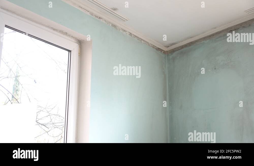 Mold on house walls Stock Videos & Footage - HD and 4K Video Clips - Alamy
