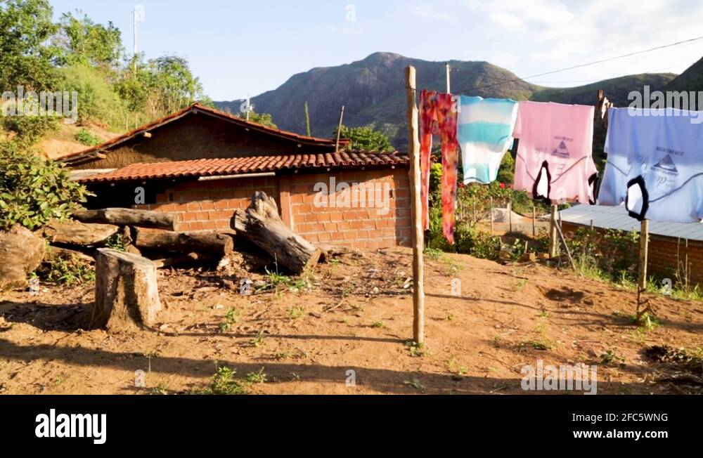 Sertao brazil Stock Videos & Footage - HD and 4K Video Clips - Alamy