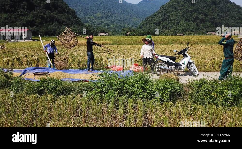 Bamboo baskets Stock Videos & Footage - HD and 4K Video Clips - Alamy